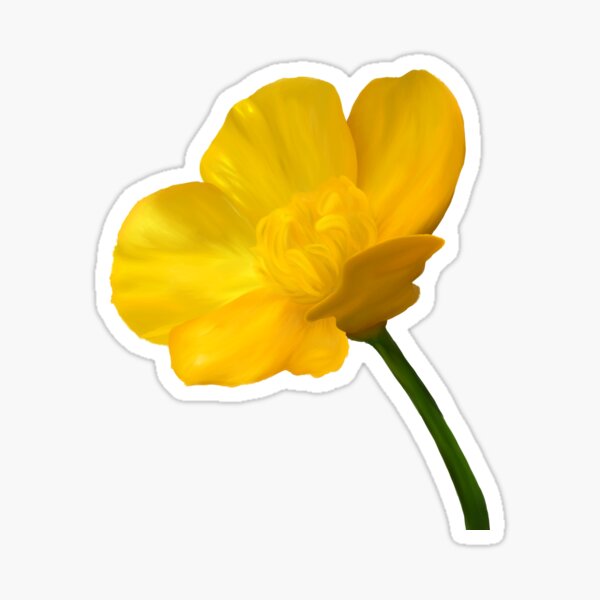 "Buttercup" Sticker for Sale by MossyMemory | Redbubble