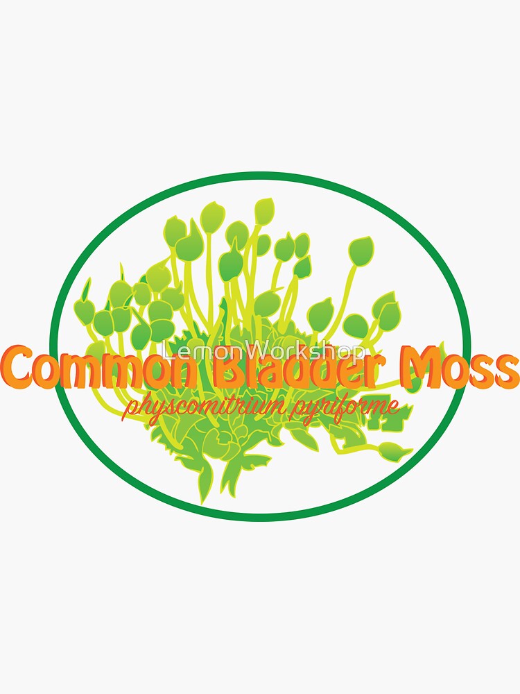 "Common Bladder Moss" Sticker for Sale by LemonWorkshop | Redbubble