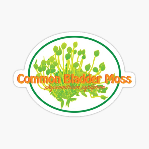 "Common Bladder Moss" Sticker for Sale by LemonWorkshop | Redbubble