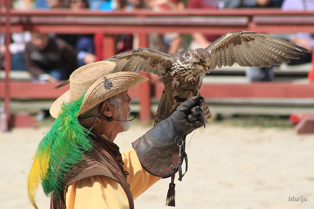 "Ray Pena Master Falconer" by Marija | Redbubble
