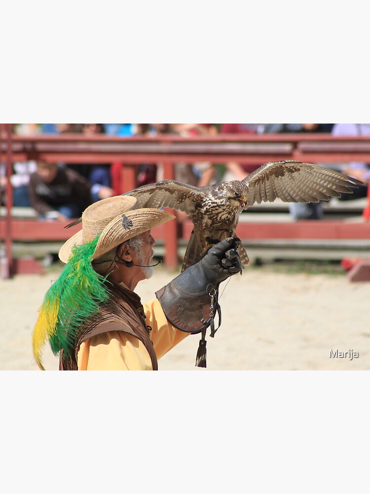 "Ray Pena Master Falconer" Poster for Sale by Marija | Redbubble