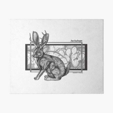 Jackalope Art Board Prints | Redbubble