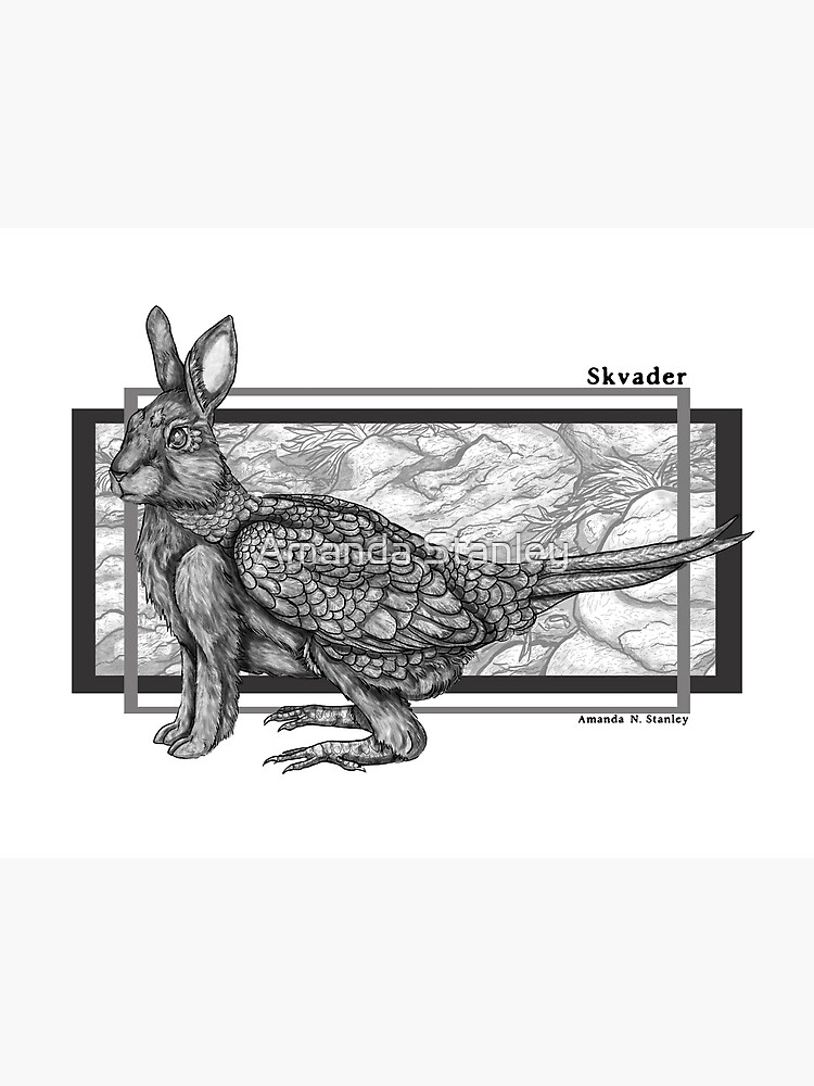 "Skvader" Poster for Sale by Amanda Stanley | Redbubble