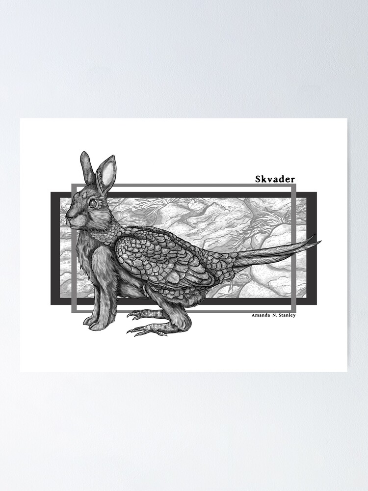 "Skvader" Poster for Sale by Amanda Stanley | Redbubble