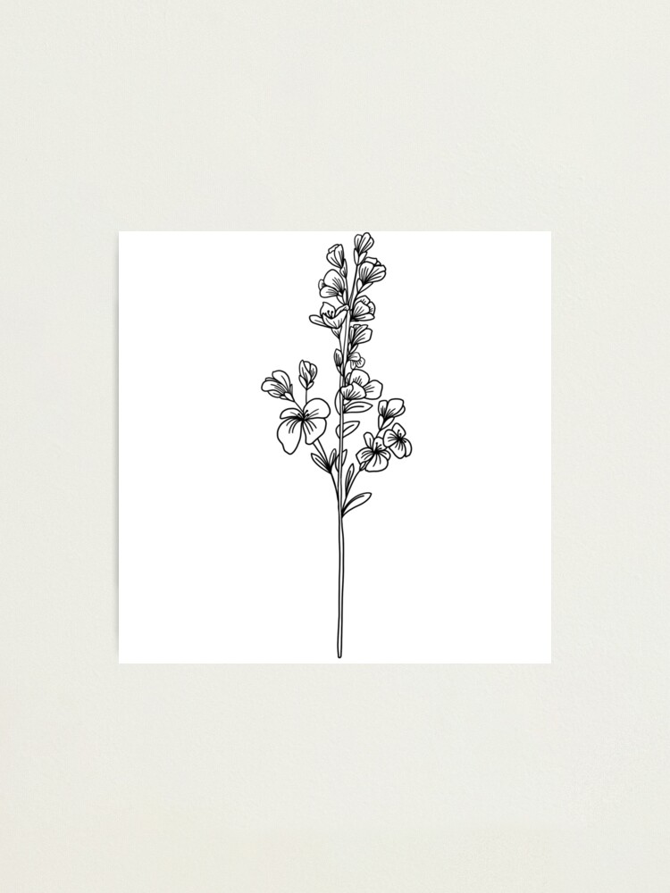 "Minimal line art flower sprig " Photographic Print for Sale by ...