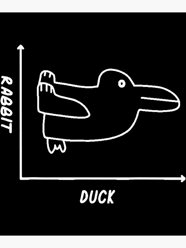 "Duck Rabbit Graph Math Teacher Easter" Greeting Card for Sale by ...