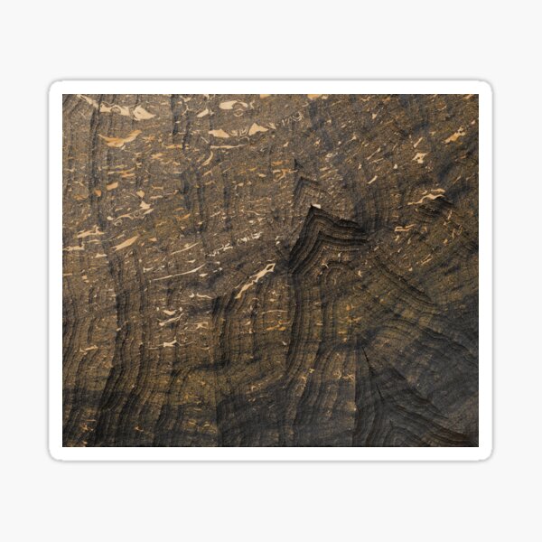"Diverged Sediment" Sticker for Sale by Roompis | Redbubble