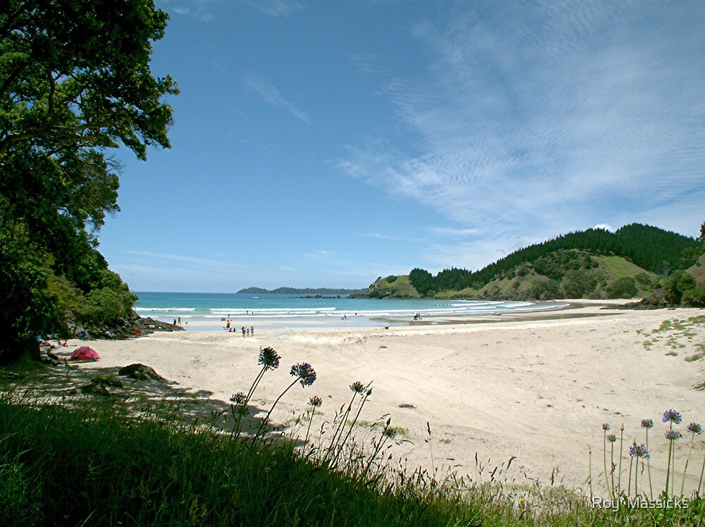 "North Whananaki beach - New Zealand." by Roy Massicks | Redbubble