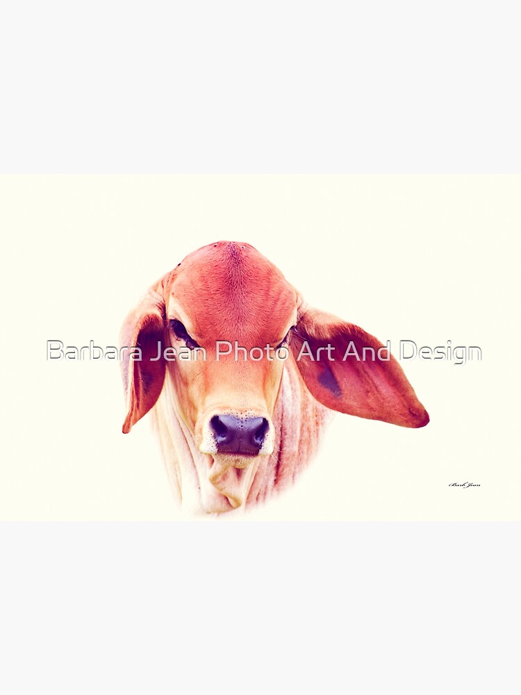 " BRAHMAN CALF, PORTRAIT, WALL ART" Poster for Sale by Tinpants | Redbubble