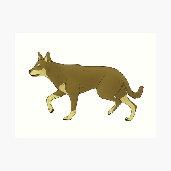 Australian Kelpie Art Prints | Redbubble