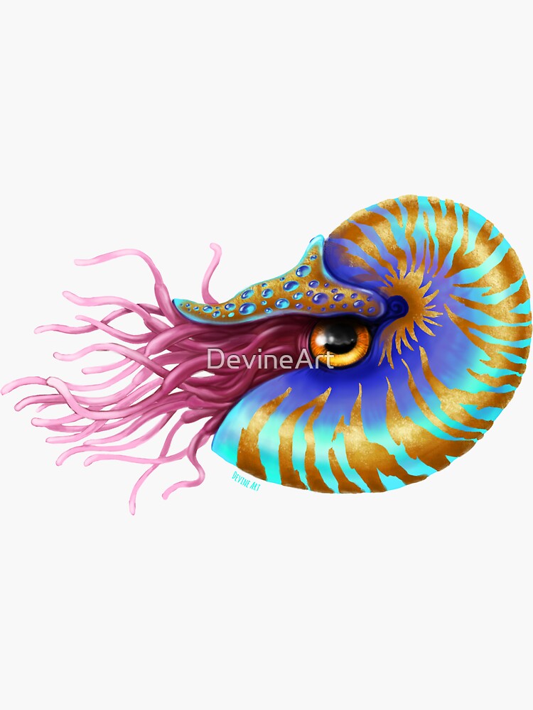"Nautilus" Sticker for Sale by DevineArt | Redbubble