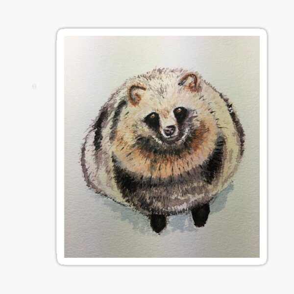 "Fluffy, chubby tanuki (raccoon dog)" Sticker by Tanuki-Time | Redbubble