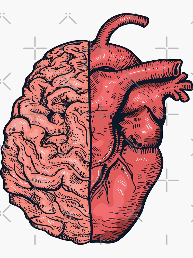 "Heart brain" Sticker for Sale by Rotbart | Redbubble
