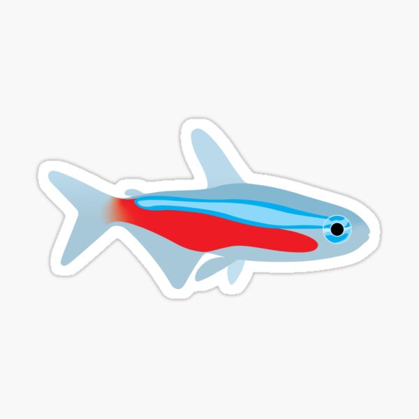 "Cardinal Tetra" Sticker by jerrodjpeg | Redbubble