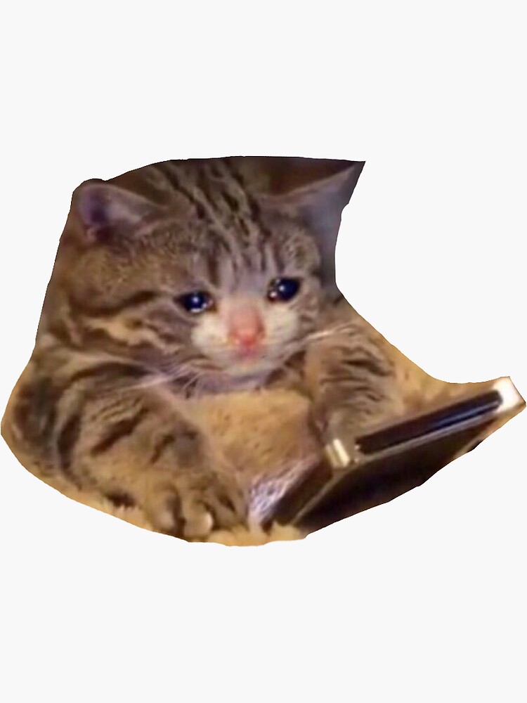 "crying cat" Sticker by heymarieann | Redbubble