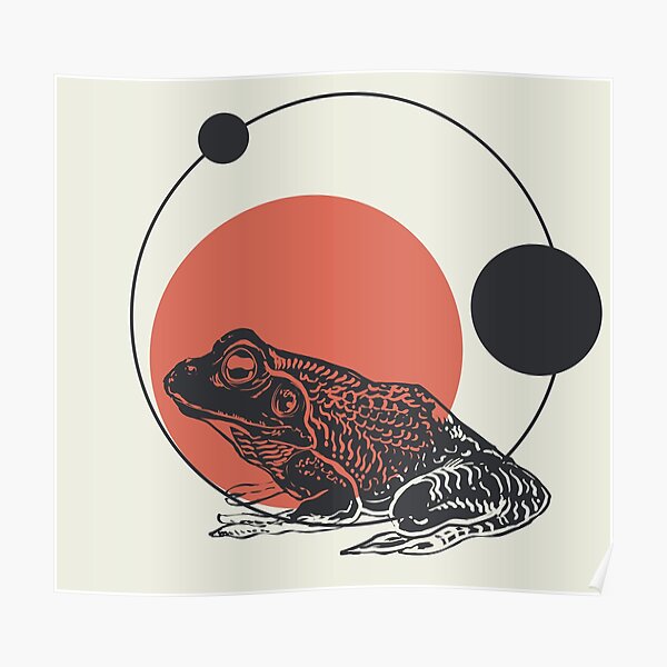 "FROG • 001 SLIM // Metamorphosis Mk2 " Poster for Sale by BPound ...