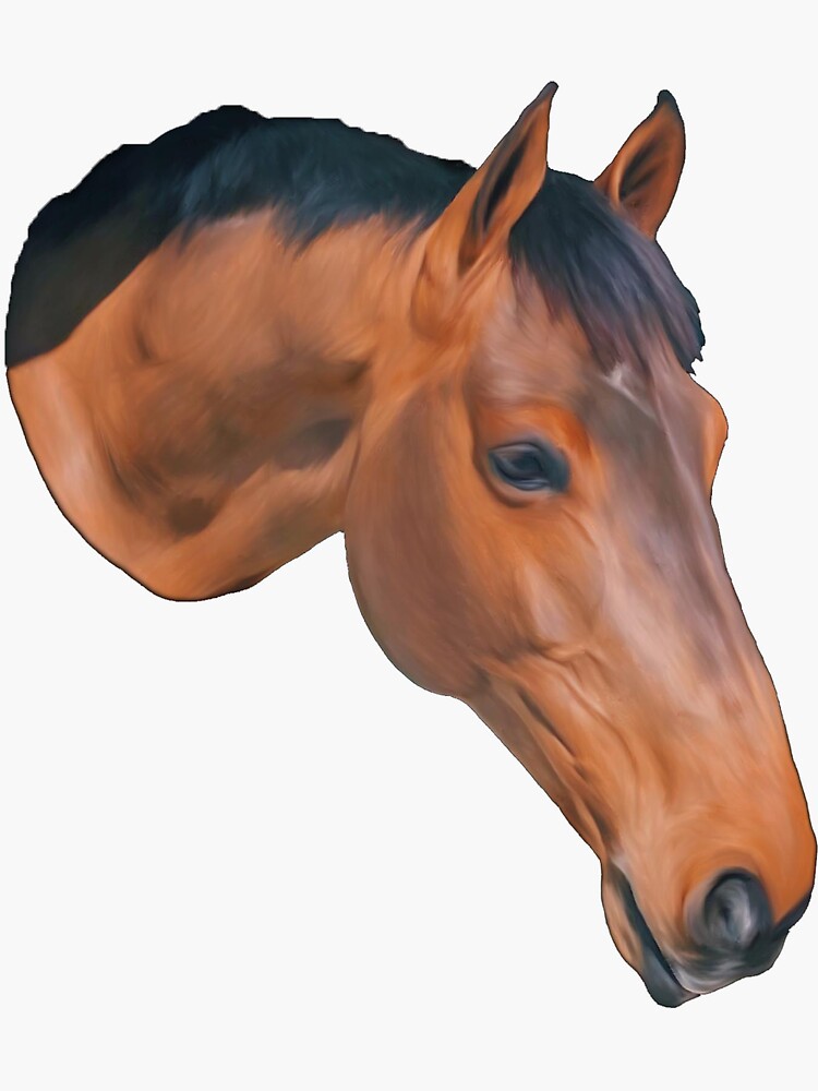 "Alain Sticker" Sticker by harachb | Redbubble