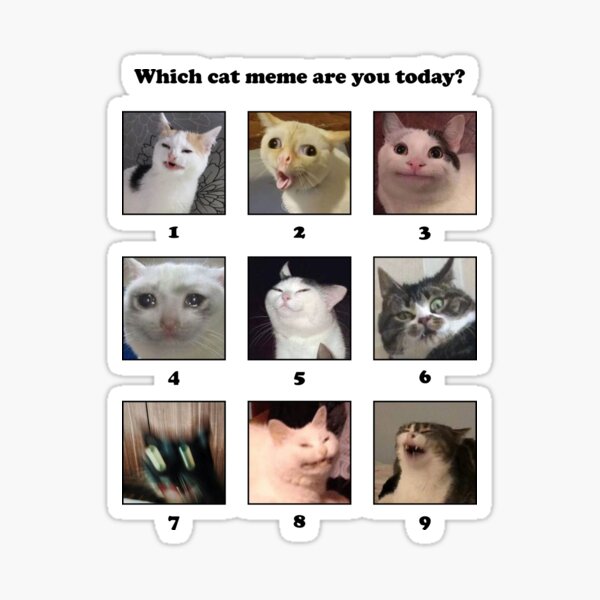 "Which Cat Meme Are You Today?" Sticker for Sale by coffeewithmilk ...