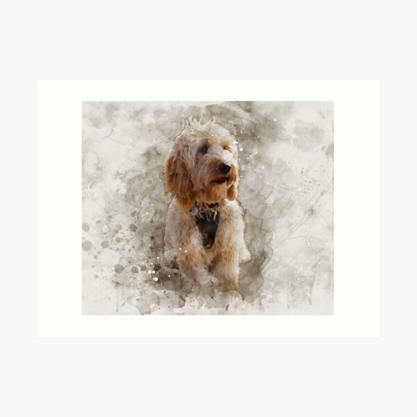 "Cute cockapoo watercolour effect" Art Print for Sale by gezwaters ...