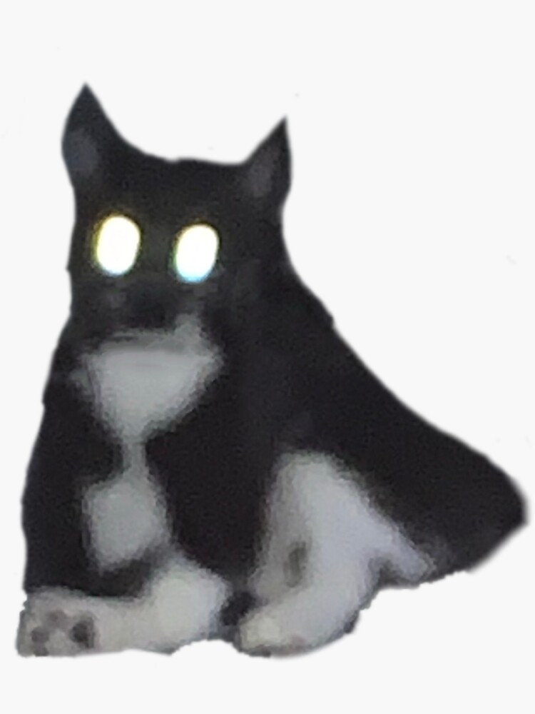 "cursed cat" Sticker for Sale by crazylazygirl | Redbubble