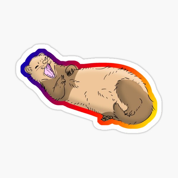 "Ferret Yawn" Sticker for Sale by Brennababs | Redbubble