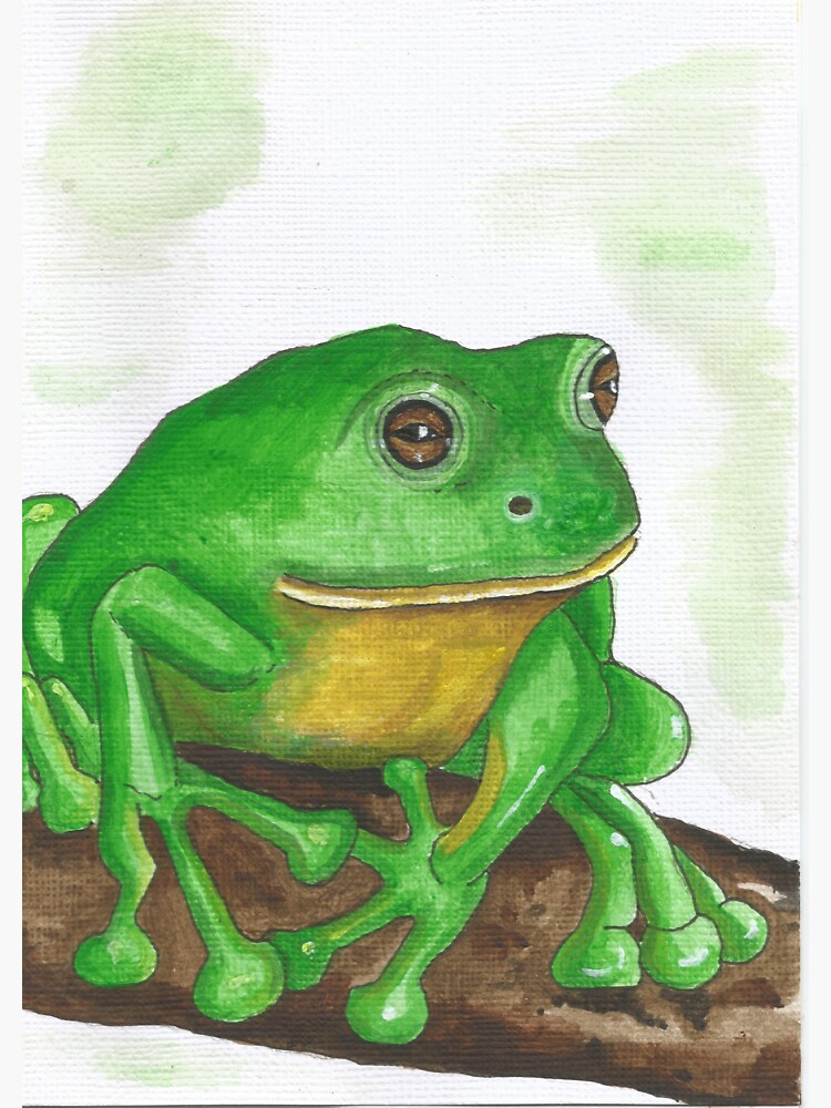 "Australian Green Tree Frog" Sticker for Sale by PeeJayArt | Redbubble