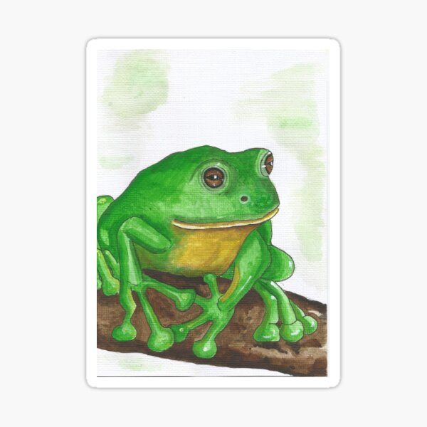 "Australian Green Tree Frog" Sticker for Sale by PeeJayArt | Redbubble