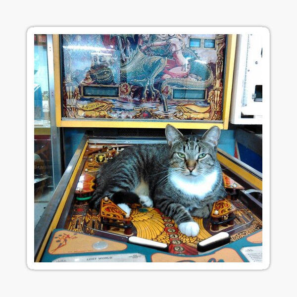 Pinball Merch & Gifts for Sale | Redbubble
