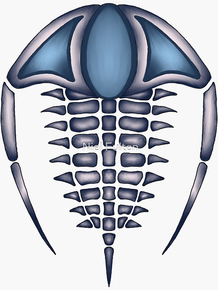 "Skeletal Trilobite" Sticker for Sale by Neefsck | Redbubble