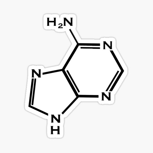 "Adenine, Nucleic Acid Base" Sticker for Sale by scienceemily | Redbubble