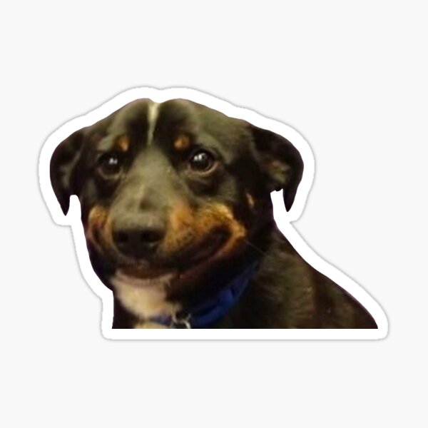 "Happy Concerned Anxious Doggo Meme" Sticker for Sale by peach-T ...
