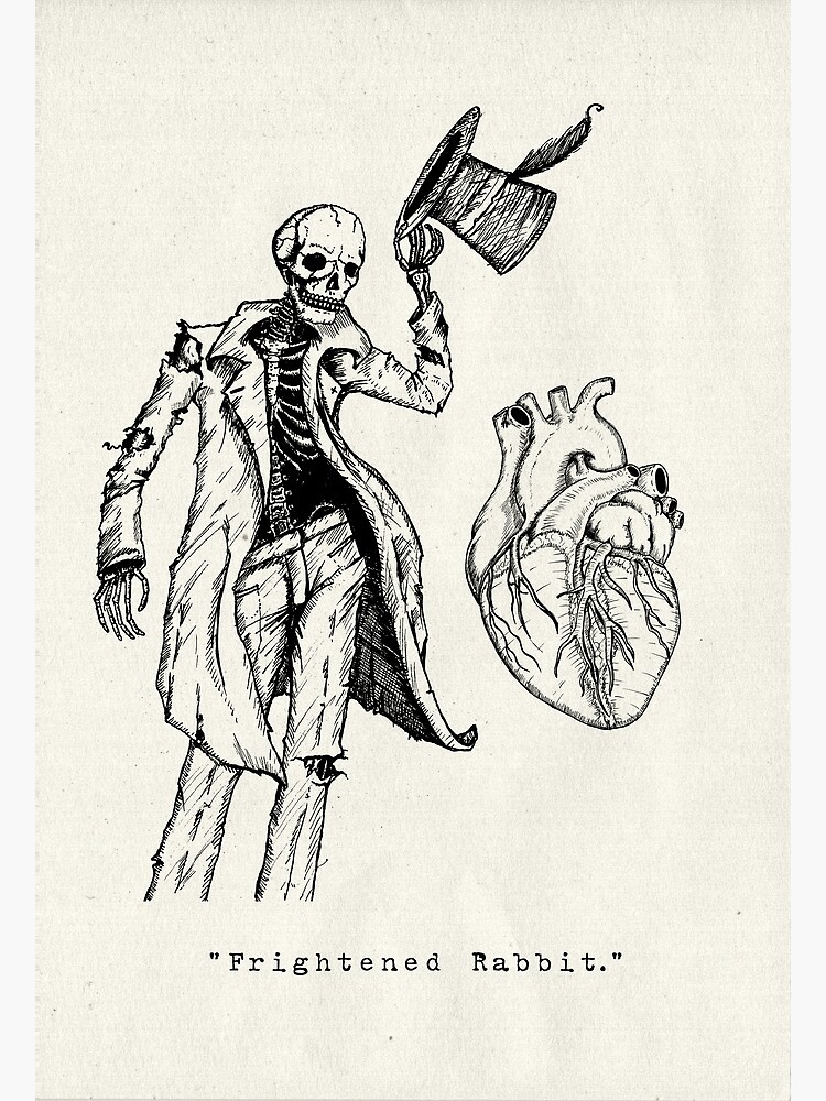 ""Frightened Rabbit"" Poster for Sale by chrisstringer | Redbubble