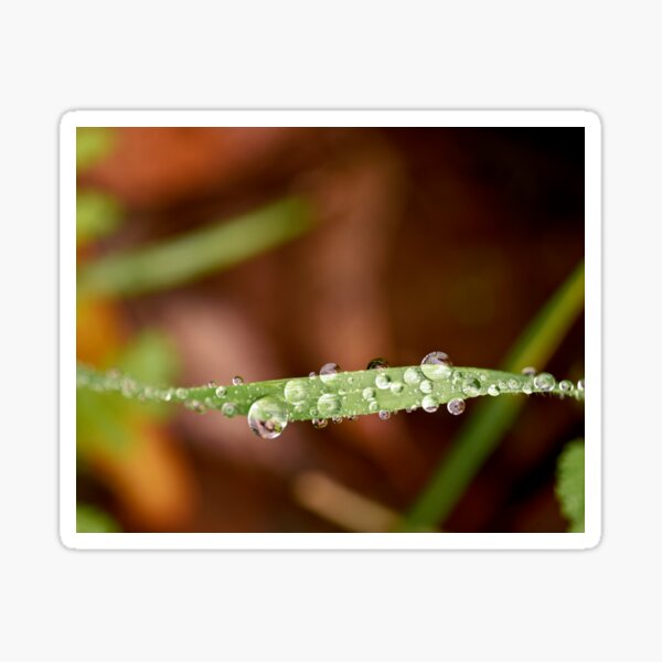 "Crystal Clear Raindrops" Sticker by imaginethis | Redbubble
