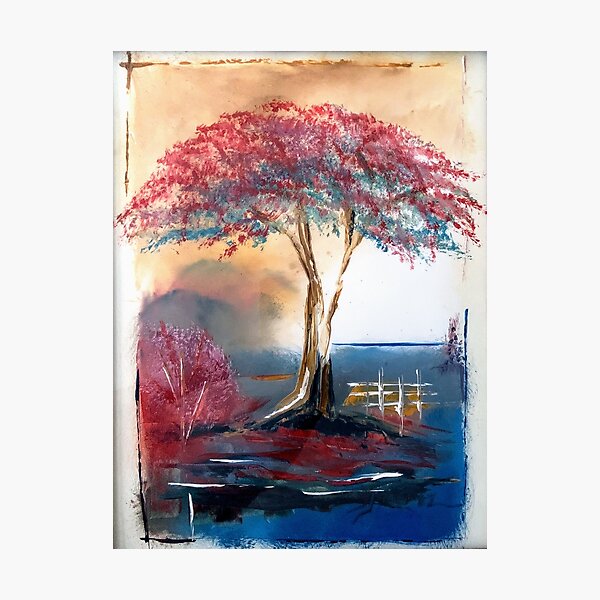 "Flamboyan Tree" Photographic Print for Sale by twigela412 | Redbubble