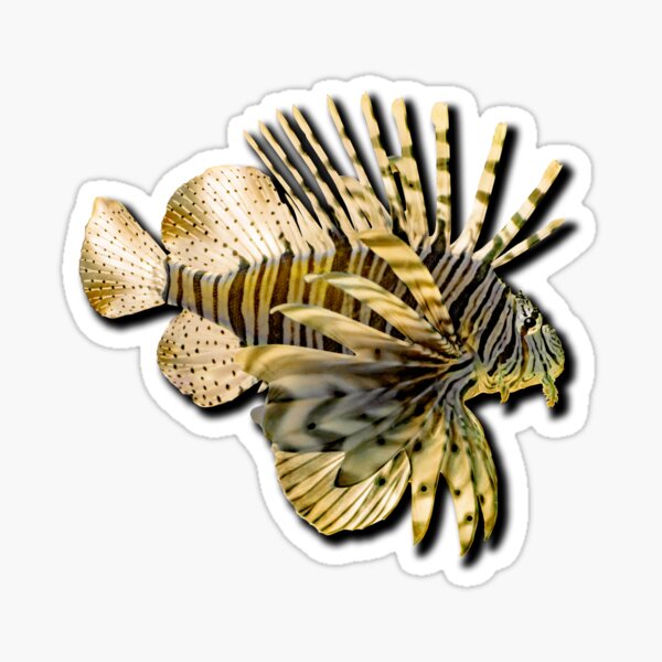 "Lionfish 02" Sticker by WWestmoreland | Redbubble