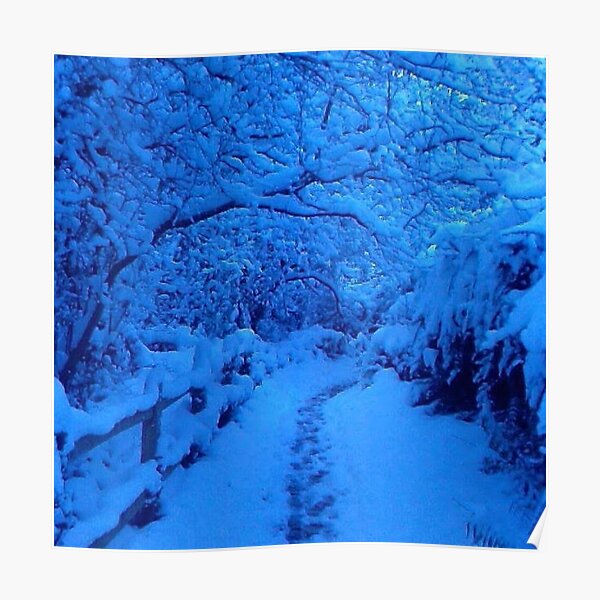 "Snowfall " Poster by NaomiWallace321 | Redbubble