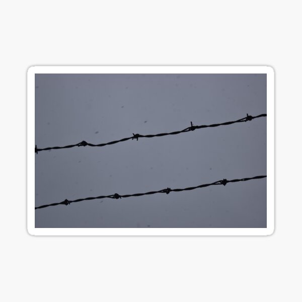 "Barbed wire" Sticker by yumasato | Redbubble