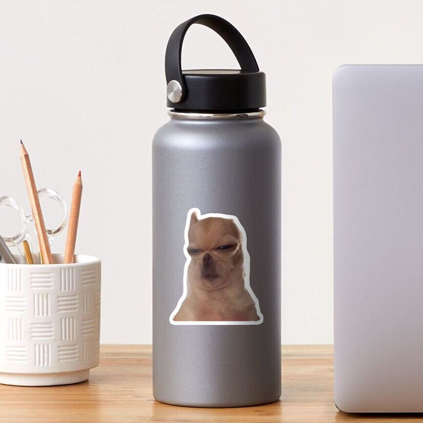 "dog meme " Sticker for Sale by maeveh7 | Redbubble