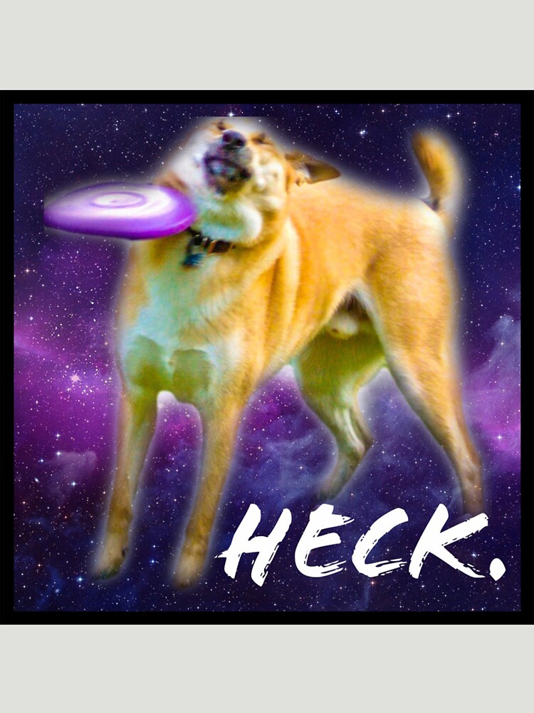 "Frisbee Dog Meme Galaxy" T-shirt for Sale by stayathomegamer ...