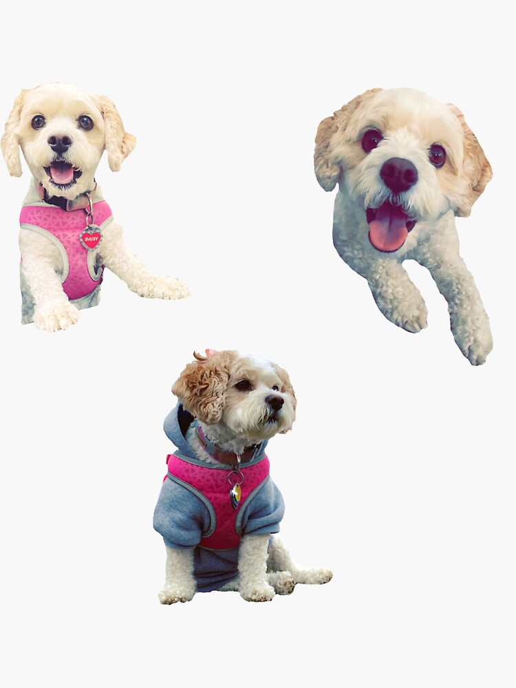 "Daisy Butler sticker pack #2" Sticker for Sale by Sbbutler | Redbubble