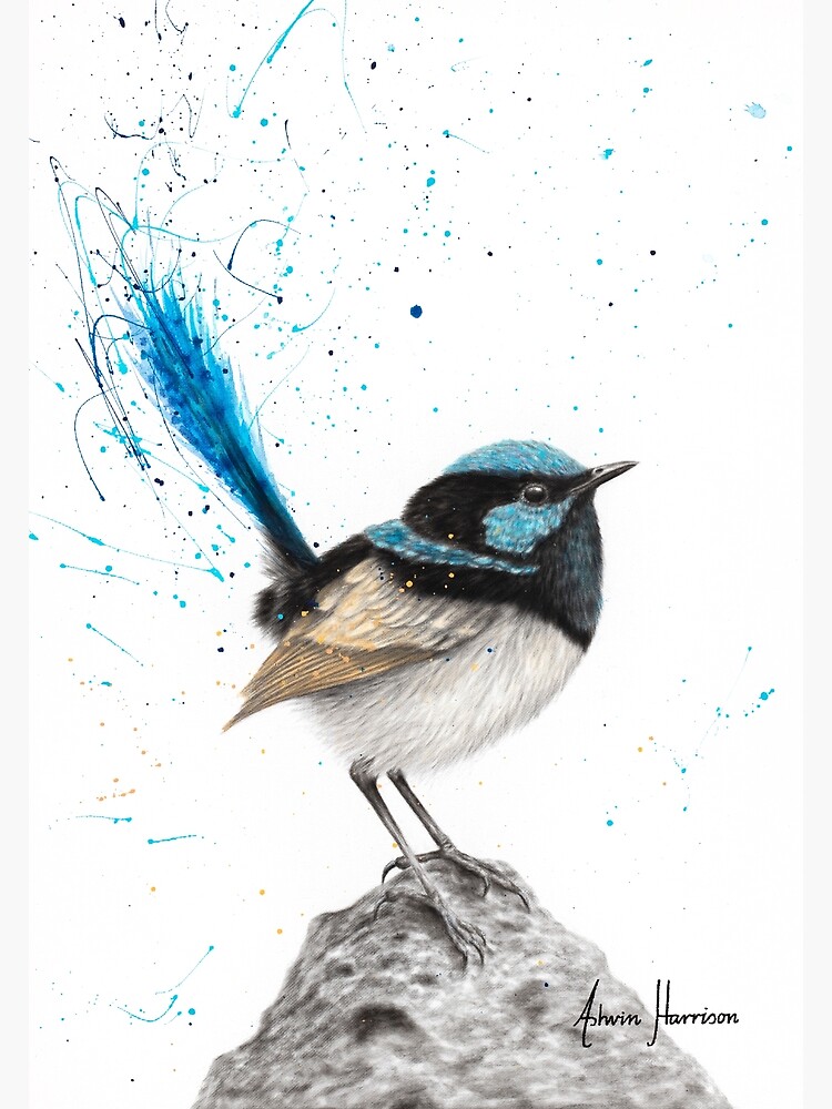 "Mountain Blue Wren" Art Print by AshvinHarrison | Redbubble