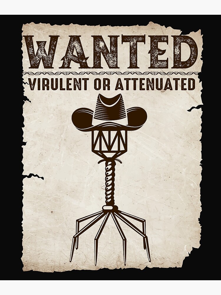 "A wanted poster for phage virus (bacteriophage) - for microbiology ...