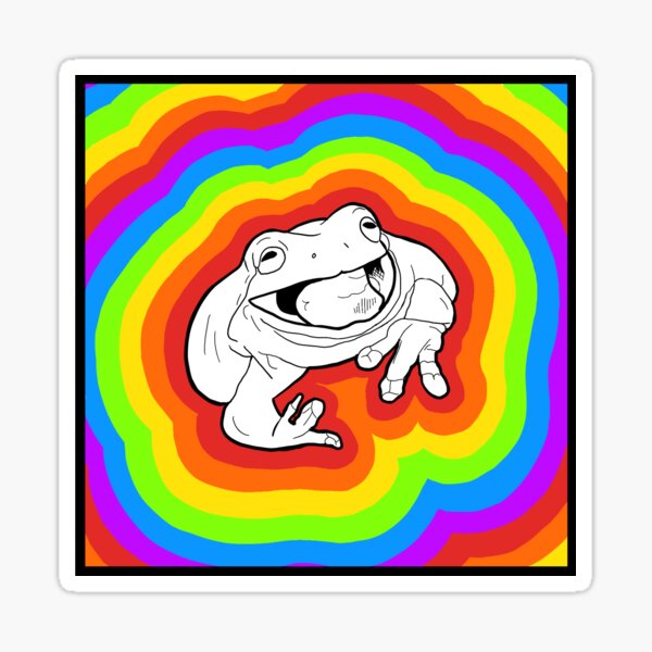 "Rainbow Frog" Sticker for Sale by pbportfolio | Redbubble