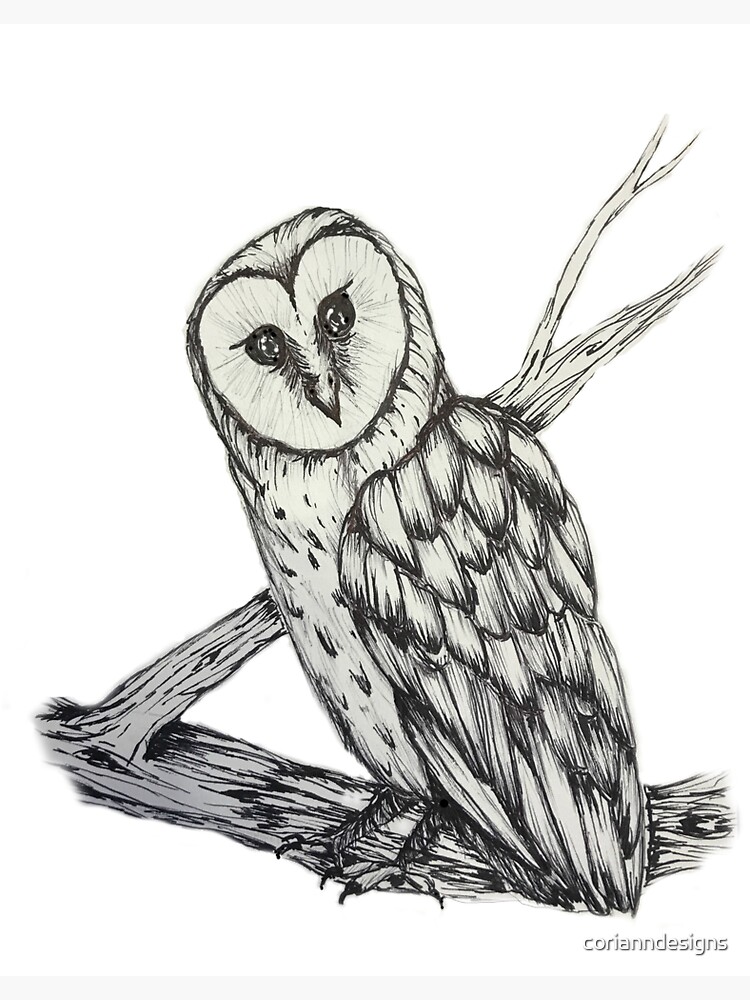 "Barn Owl Ink Drawing" Sticker for Sale by corianndesigns | Redbubble