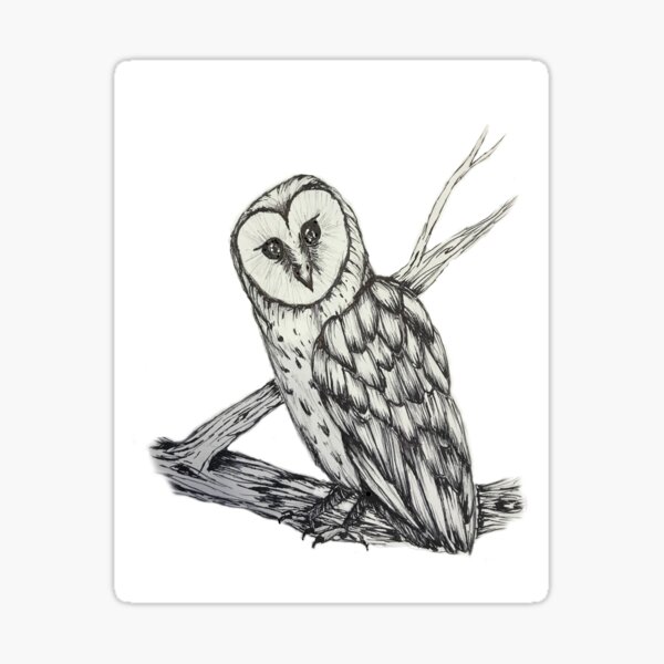 "Barn Owl Ink Drawing" Sticker for Sale by corianndesigns | Redbubble