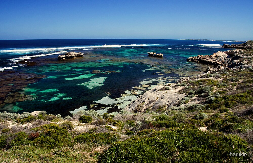 "Coral Reef on Rottnest" by Rob Hawkins | Redbubble