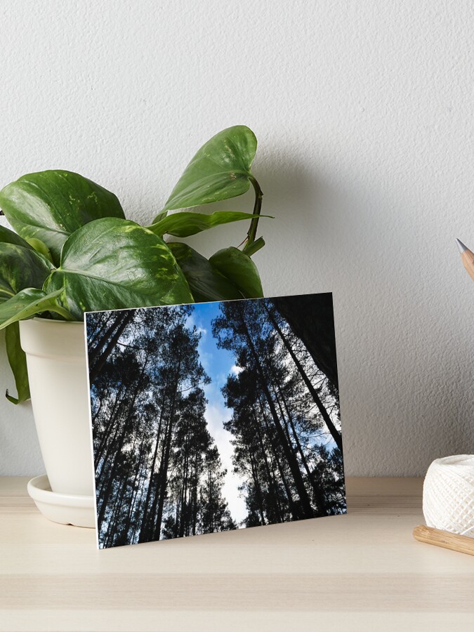 "Blue skies and trees at Swinley Forest" Art Board Print for Sale by ...