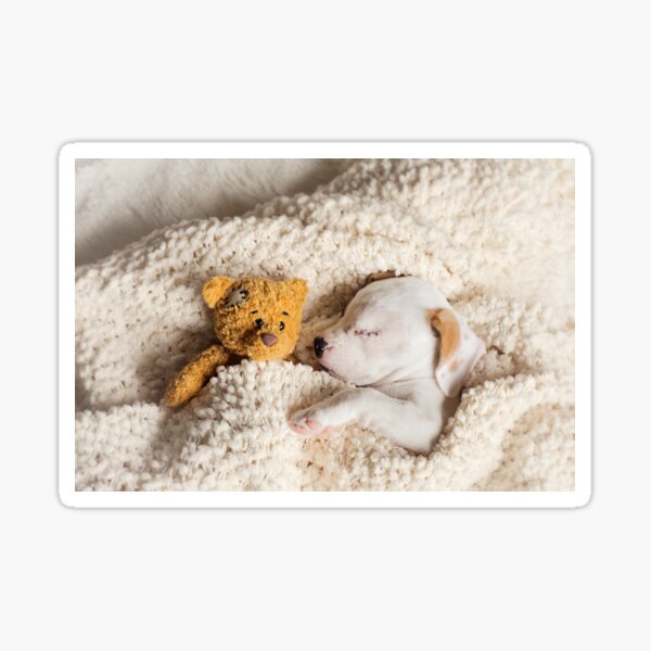 "Daisy & Patches" Sticker by reneedawson | Redbubble