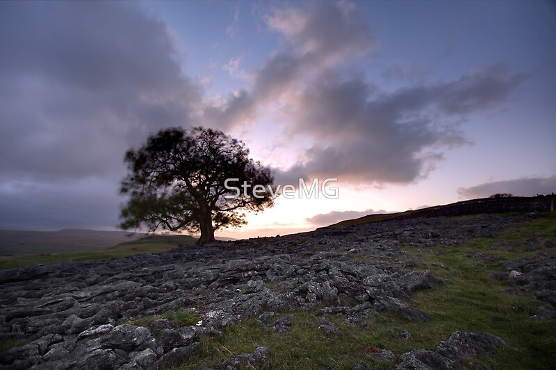 "A Wild And Windswept Moor" by SteveMG | Redbubble