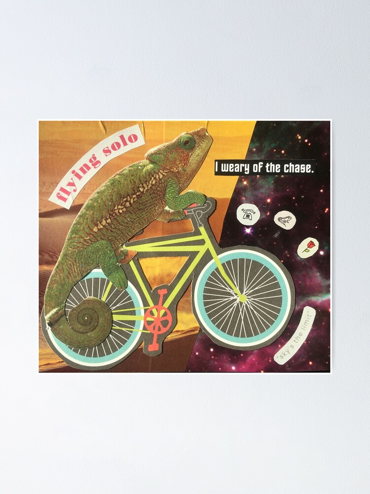 "Flying Solo" Poster for Sale by kallitropos | Redbubble